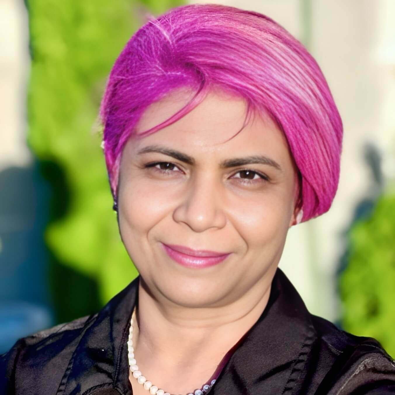 Ihsana Ageel - Intelligent Transportation Systems - New Zealand